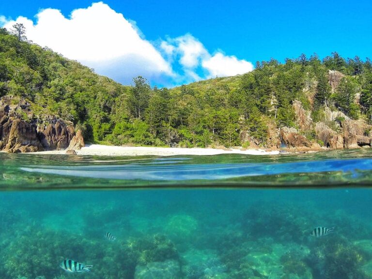 The Hidden Paradise of Hook Island in the Whitsundays